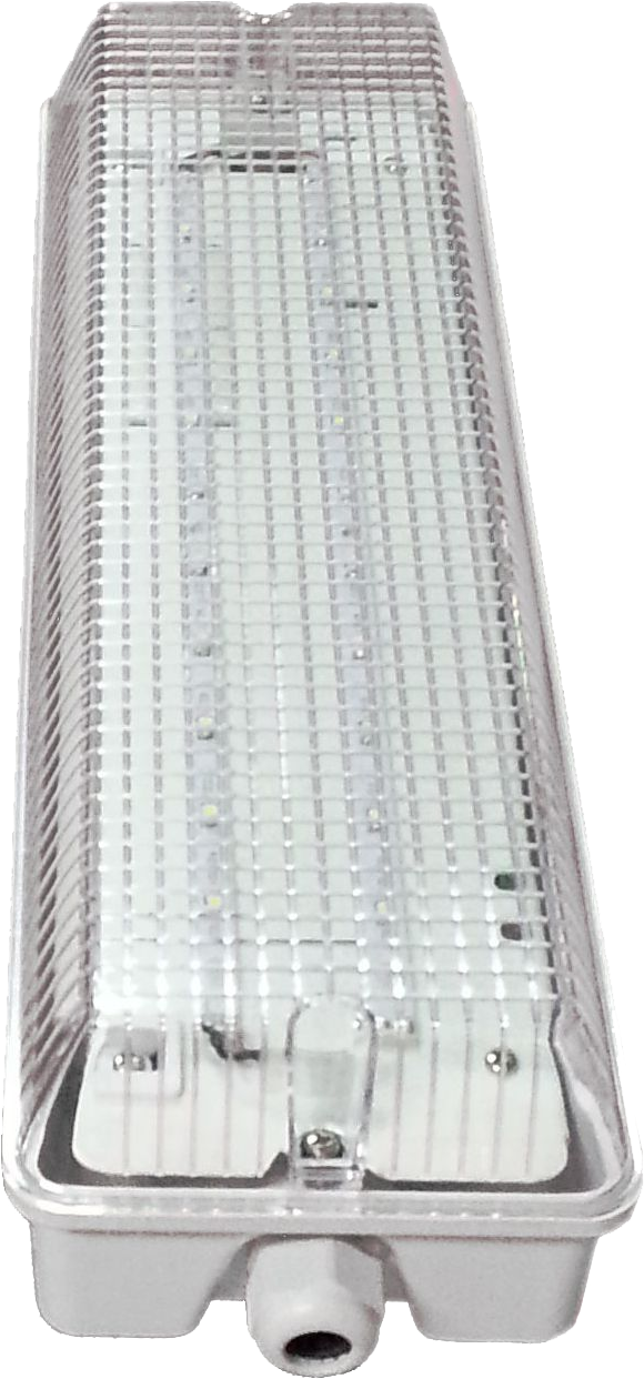 Find the Perfect LED Emergency Lights at LED UK Ltd - Active Bulkhead
